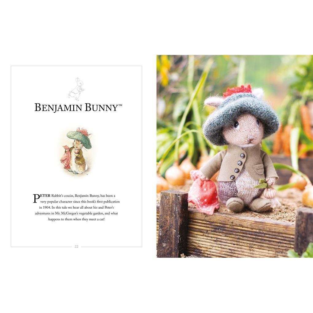 Knitting Peter Rabbit Book and yarn at Knitnstitch Mt Eden